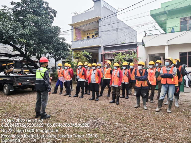 Construction - Algas