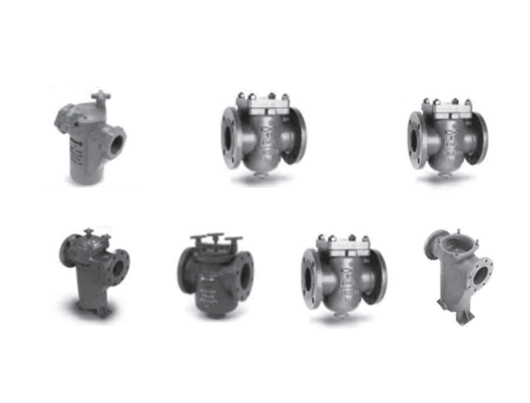 Basket Type Strainers - Algas